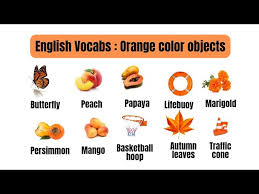 Objects That Are Orange In Color Update