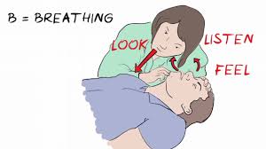 CPR Pulse Checks: What You Really Need to Know