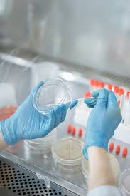 Swabs Used in NHS Departments: Types and Uses