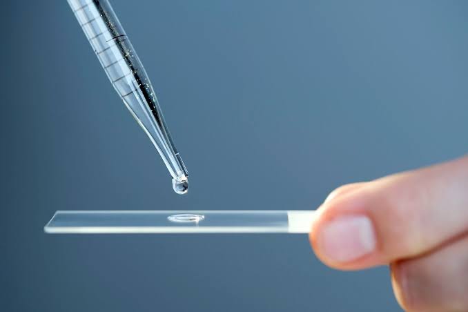 MICROSCOPIC SLIDE PREPARATION AND TISSUE MORPHOLOGY METHODS | Austin Tommy