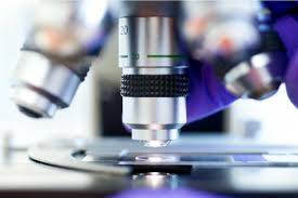 Search Results | ARRIVE Guidelines