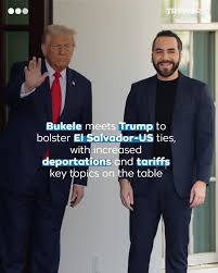 El Salvador President Nayib Bukele exposed CNNs Kaitlyn Collins in ...