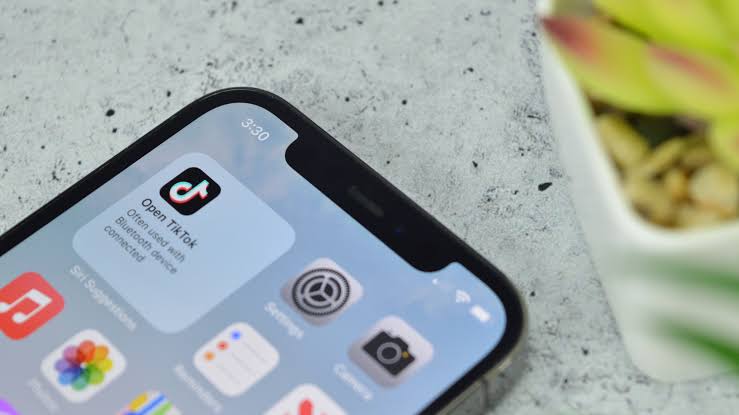 iPhone 12 recall extended