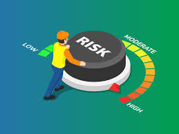 Exploring Transfer Pricing Risk Assessment: Guidelines for Nigerian ...