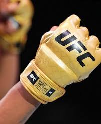 Gold Gloves: Will They Induce More Retirements? | Sherdog Forums | UFC ...