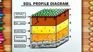What is soil profile?