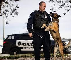 “In Loving Memory of K9 Diesel: A Brave Heart Who Gave Everything for ...