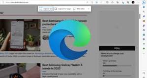 copied a picture with web capture now cant find it - Microsoft Q&A