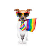 Pride Month Cardboard Rainbow Collages! (Ages 4-10) – Boston LGBTQ+ ...