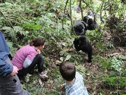 Top 5 Reasons Why You Should Visit Rumonge Natural Reserve - Kubwa Five ...