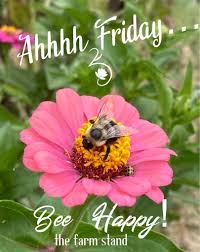 Re: The Bee Hive -- May 2025 Edition - Page 24 - Blogs & Forums