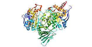 KAIST-Yonsei Team Identifies Origin Cells for Malignant Brain Tumor ...