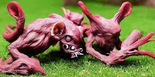 a cute bio mutant creature strange animal fauna that considerred in ...