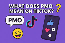 What Does PMO Mean? Text, TikTok, Slang, and Roblox Meaning Explained