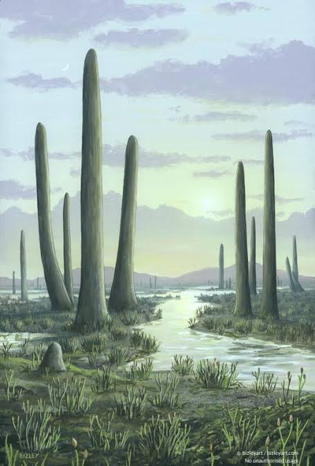 Prototaxites was an extinct lineage of multicellular terrestrial ...