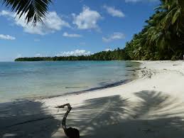 BeulalandBlog : Nature & Life : Chagos Islands