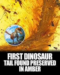 99 Million Years in the Making: The Incredible Discovery of a Dinosaur ...