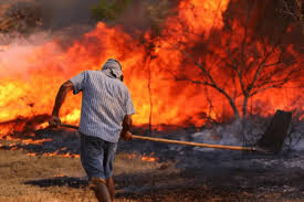 Notícias | Ação humana causa 99% dos incêndios florestais no Brasil ...