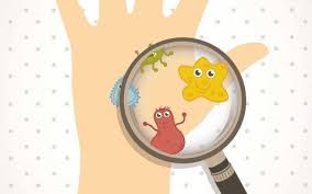 How Scientists Find Germs For Fourth Graders By Shahd Al Mahmoud ...