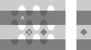 Chapter 3 Psych Review Jeopardy Template