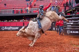 Rodeo y Fiesta de Vaqueros
