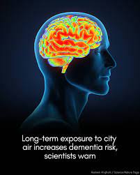 The Link Between Fine Particulate Air Pollution and Lewy Body Dementia ...